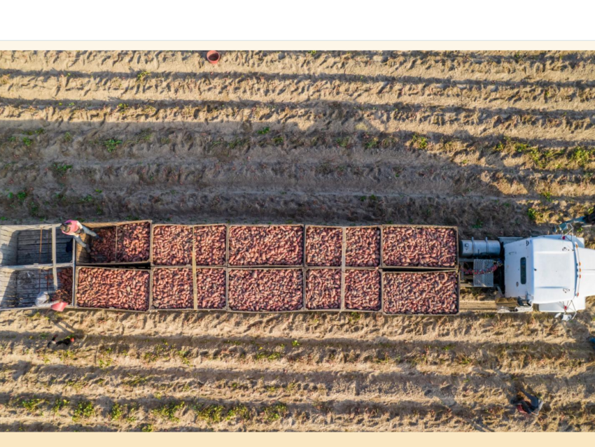 Transforming Agriculture in Washington State - Aspen Tech Policy Hub